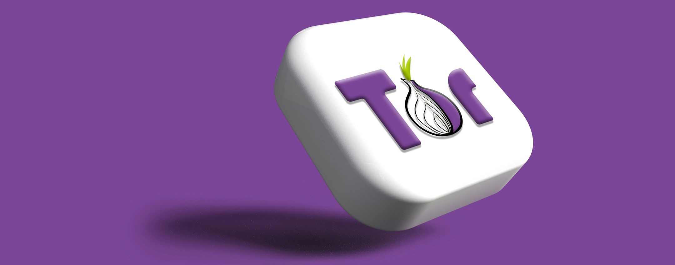Tor: WebTunnel imitano traffico HTTPS per eludere la censura | HTML.it